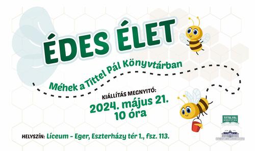 Eszterházy Károly Katolikus Egyetem, Eger